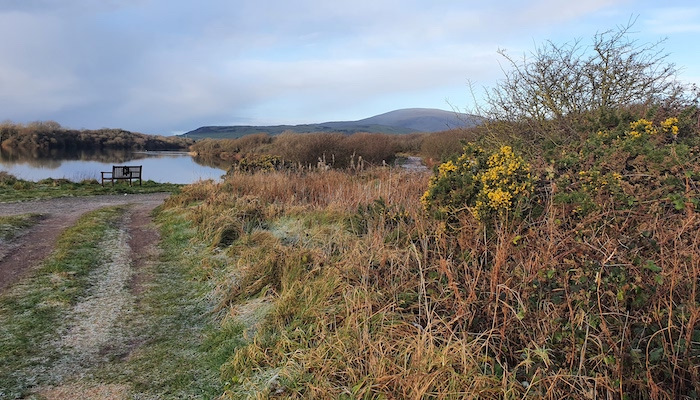 Iron Line: Millom, Cumbria - Colander (en-GB)